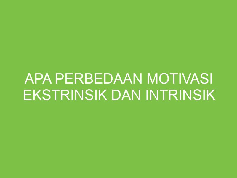 Apa Perbedaan Motivasi Ekstrinsik dan Intrinsik - aikerja.com