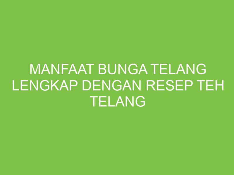 Manfaat Bunga Telang Lengkap dengan Resep Teh Telang - aikerja.com