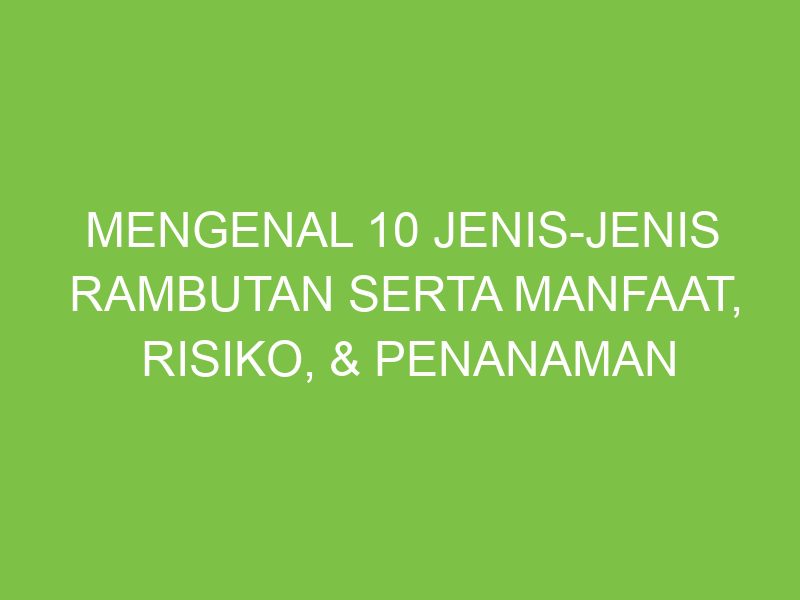 Mengenal 10 Jenis-Jenis Rambutan serta Manfaat, Risiko, & Penanaman ...